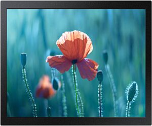Samsung 13" QBR Series Smart Signage Display price in Dubai, Abu Dhabi, UAE